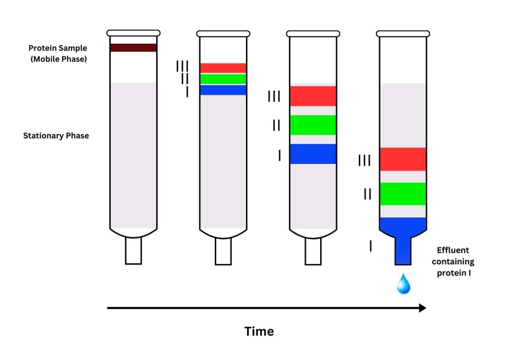 Chromatographic Methods explained - Veeprho