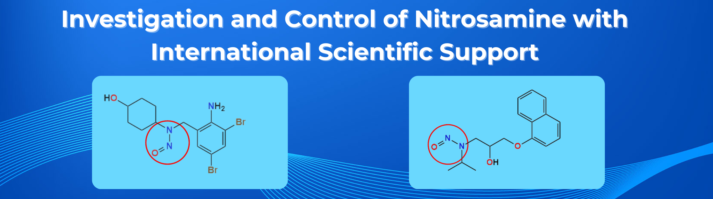 Investigation and Control of Nitrosamine with International Scientific ...