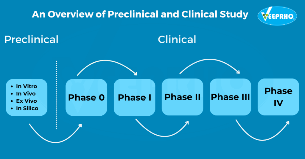 An Overview of Preclinical and Clinical Study - Veeprho